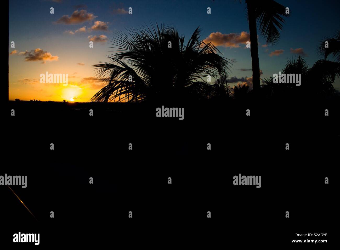 Tropic sun hi-res stock photography and images - Alamy