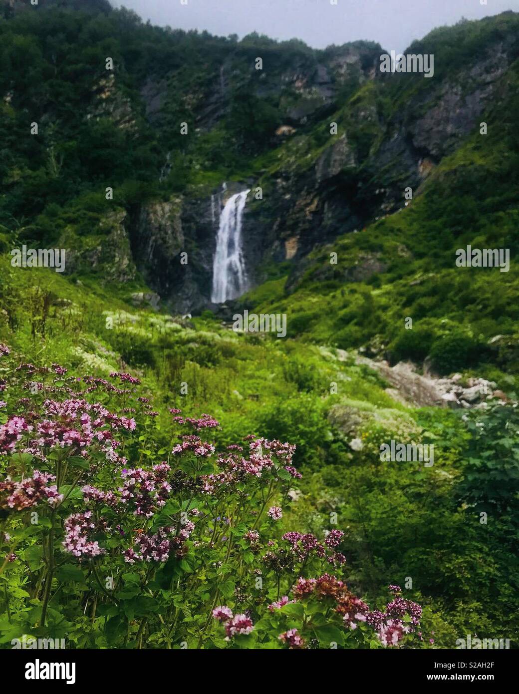 Waterfall forest hills hi-res stock photography and images - Alamy