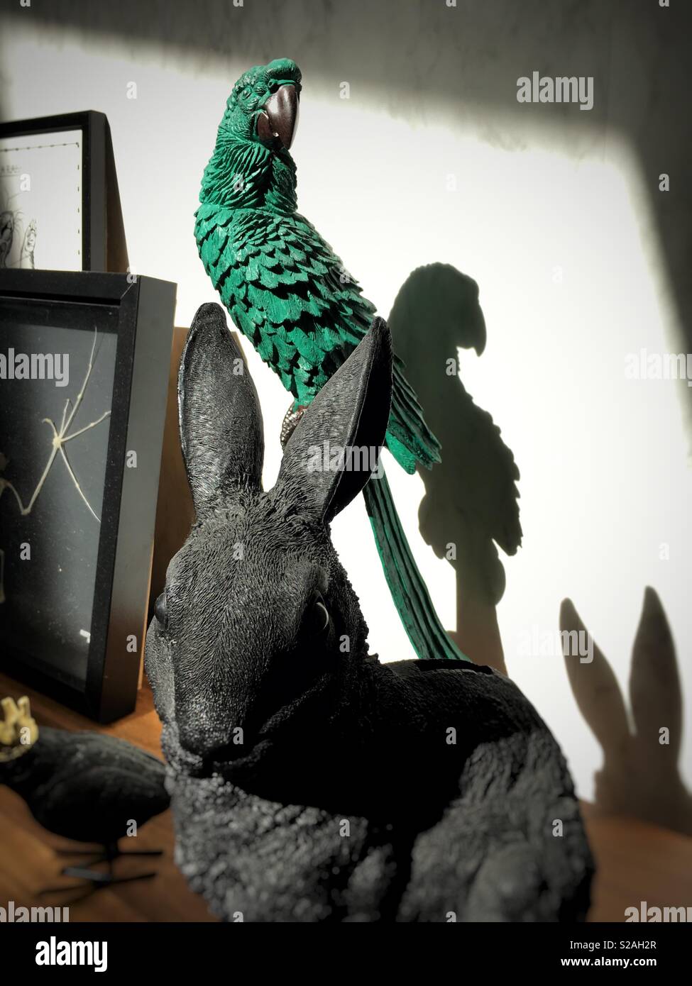 Bunny and parrot still life home decoration with shadows Stock Photo ...