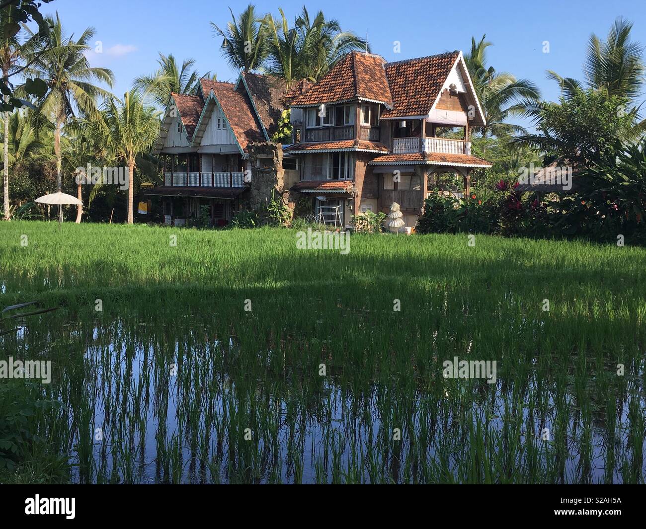 House of rice hi-res stock photography and images - Alamy