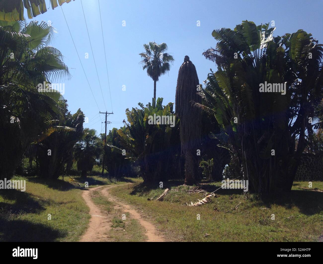 Thyolo malawi hi-res stock photography and images - Alamy
