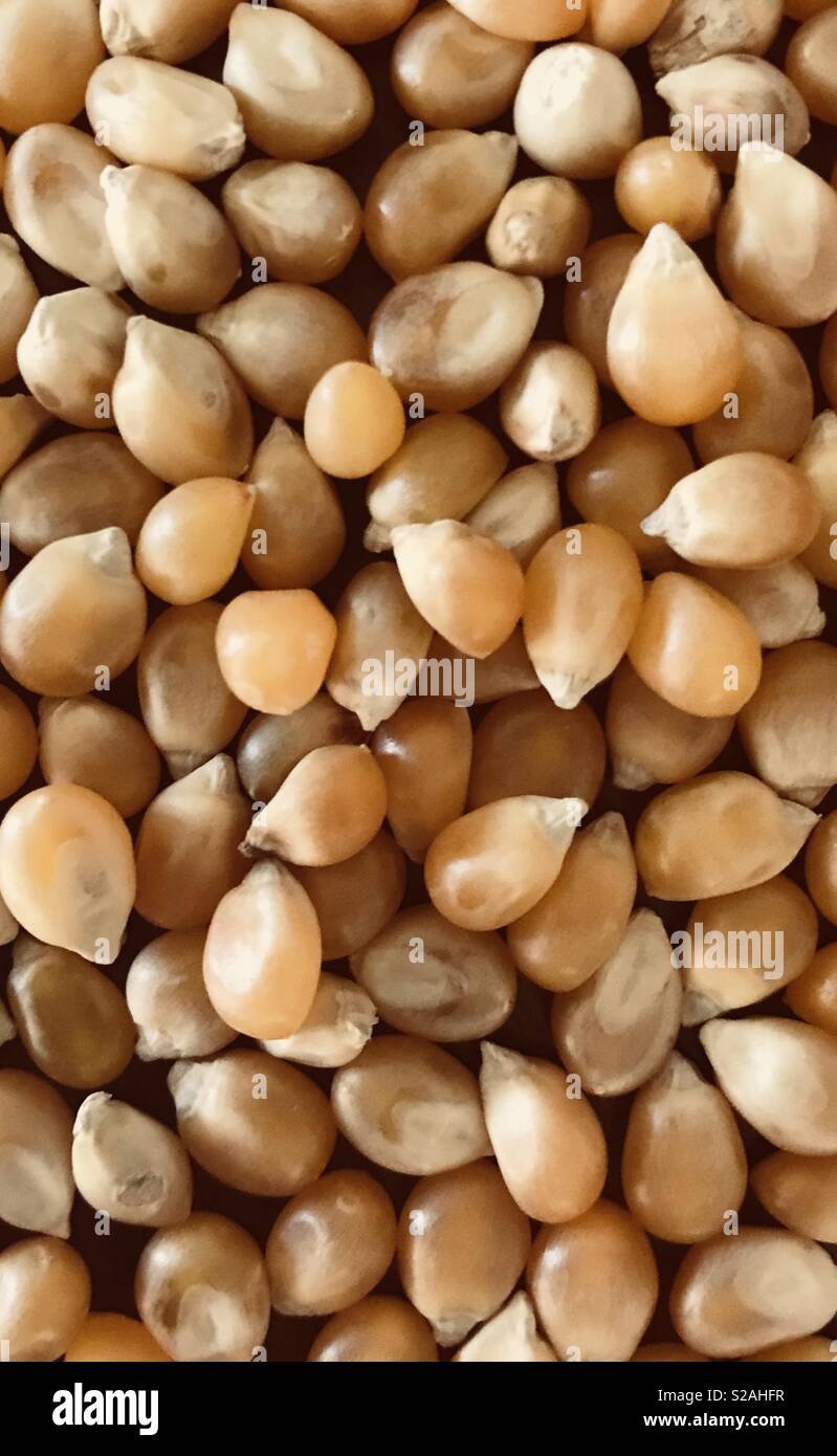 Popcorn kernels hi-res stock photography and images - Alamy