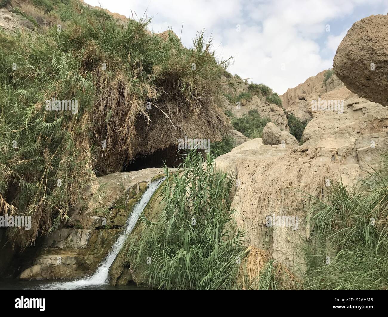 Ein gedi hi-res stock photography and images - Alamy