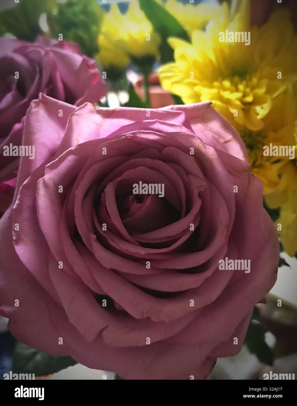 Lavender colored rose in a floral bouquet Stock Photo - Alamy