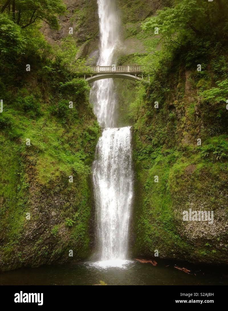 Multnomah Falls Columbia River Gorge Oregon USA Stock Photo - Alamy