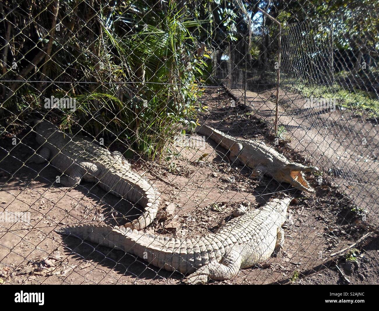 Thyolo malawi hi-res stock photography and images - Alamy