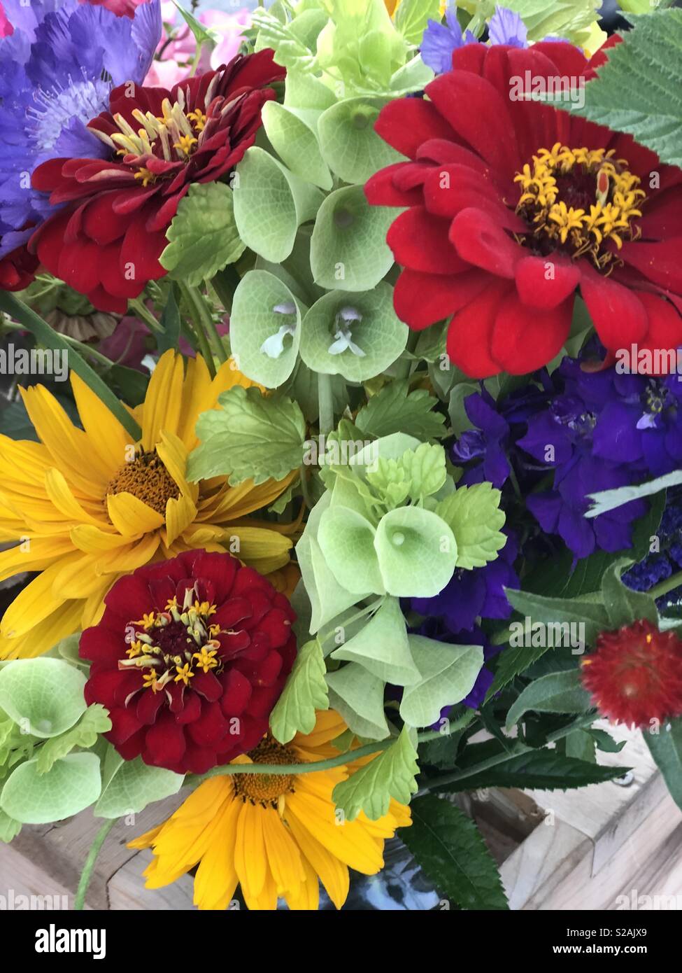 Happy colourful flowers hi-res stock photography and images - Alamy