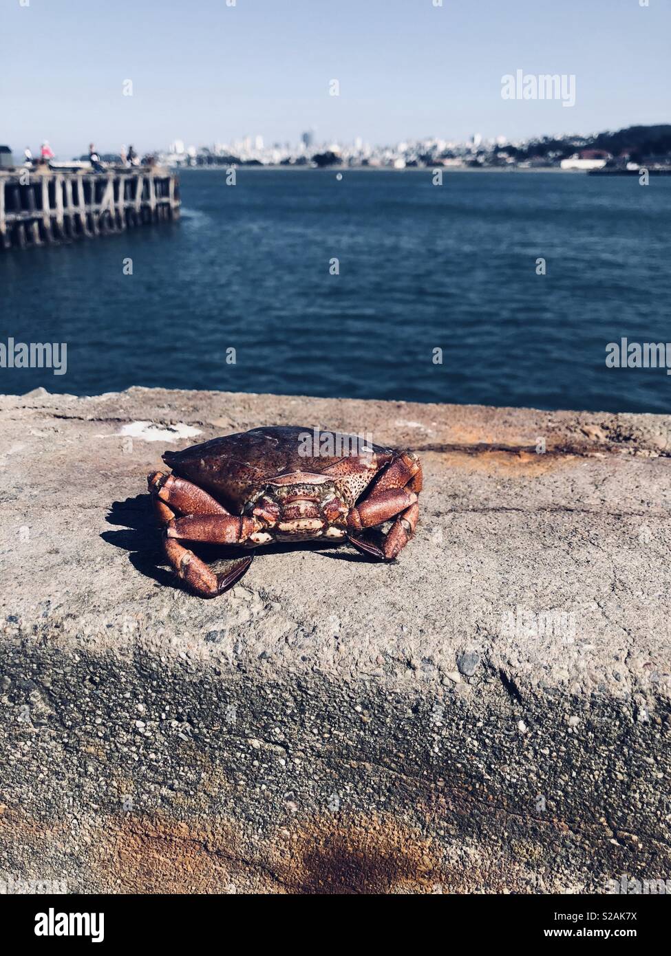 The crab bridge hi-res stock photography and images - Alamy