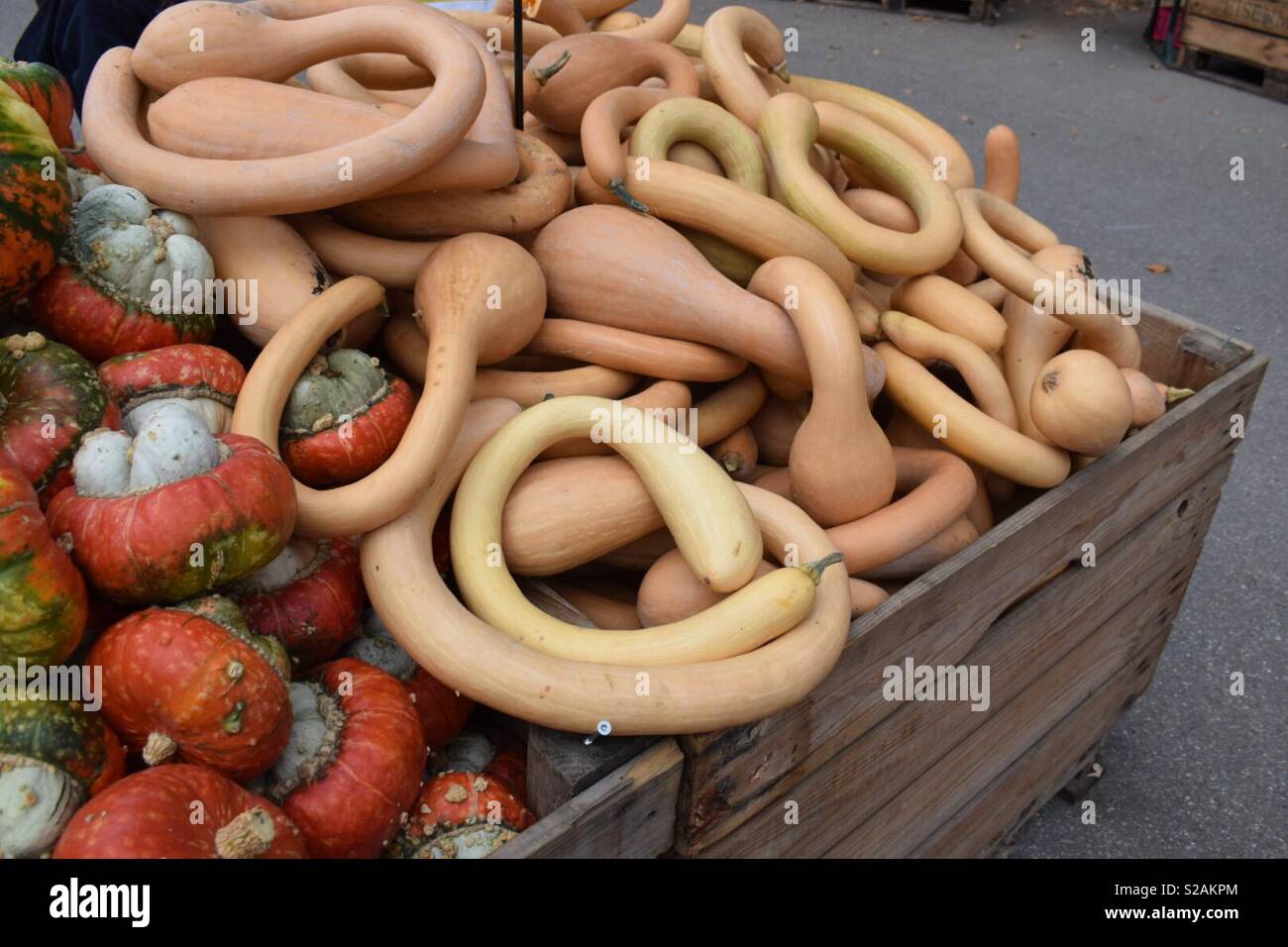 Snake gourd hi-res stock photography and images - Alamy
