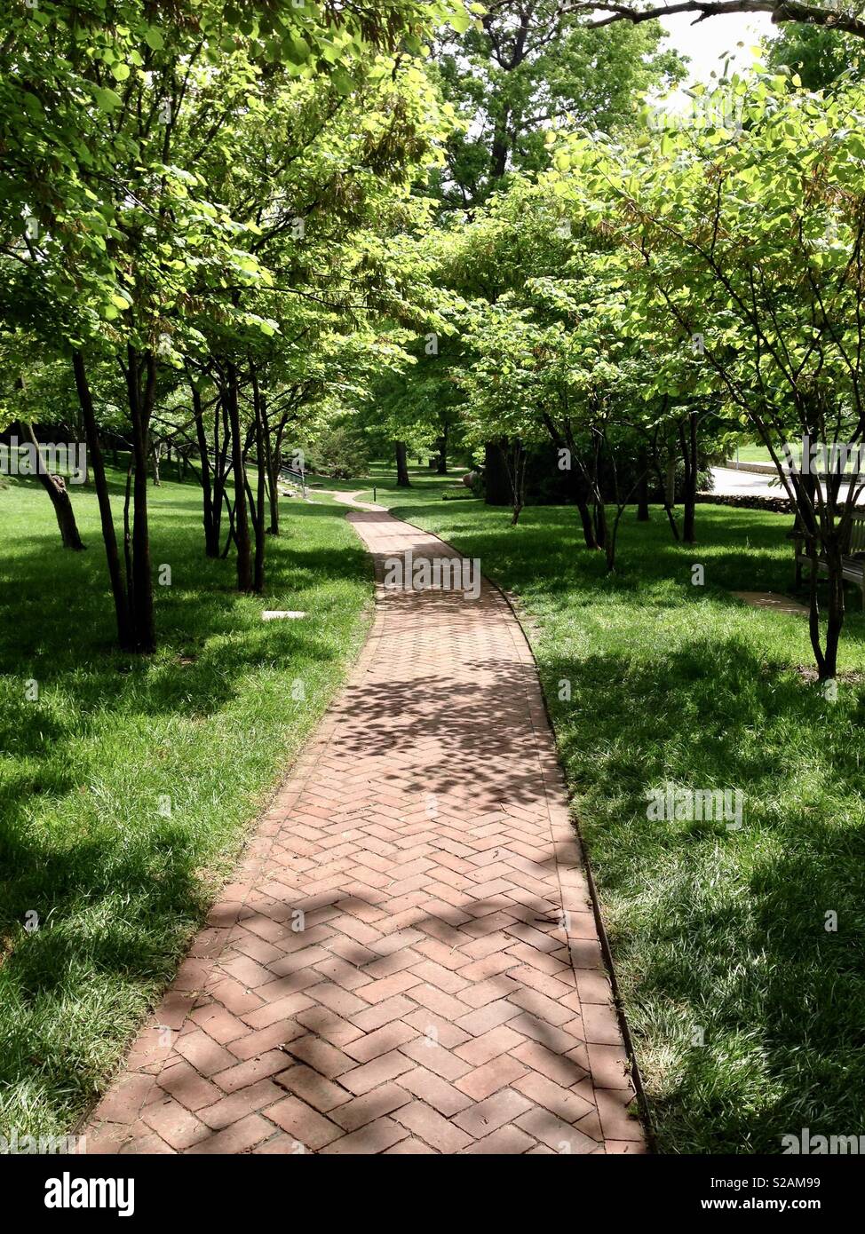 Shady Park Path Stock Photo - Alamy