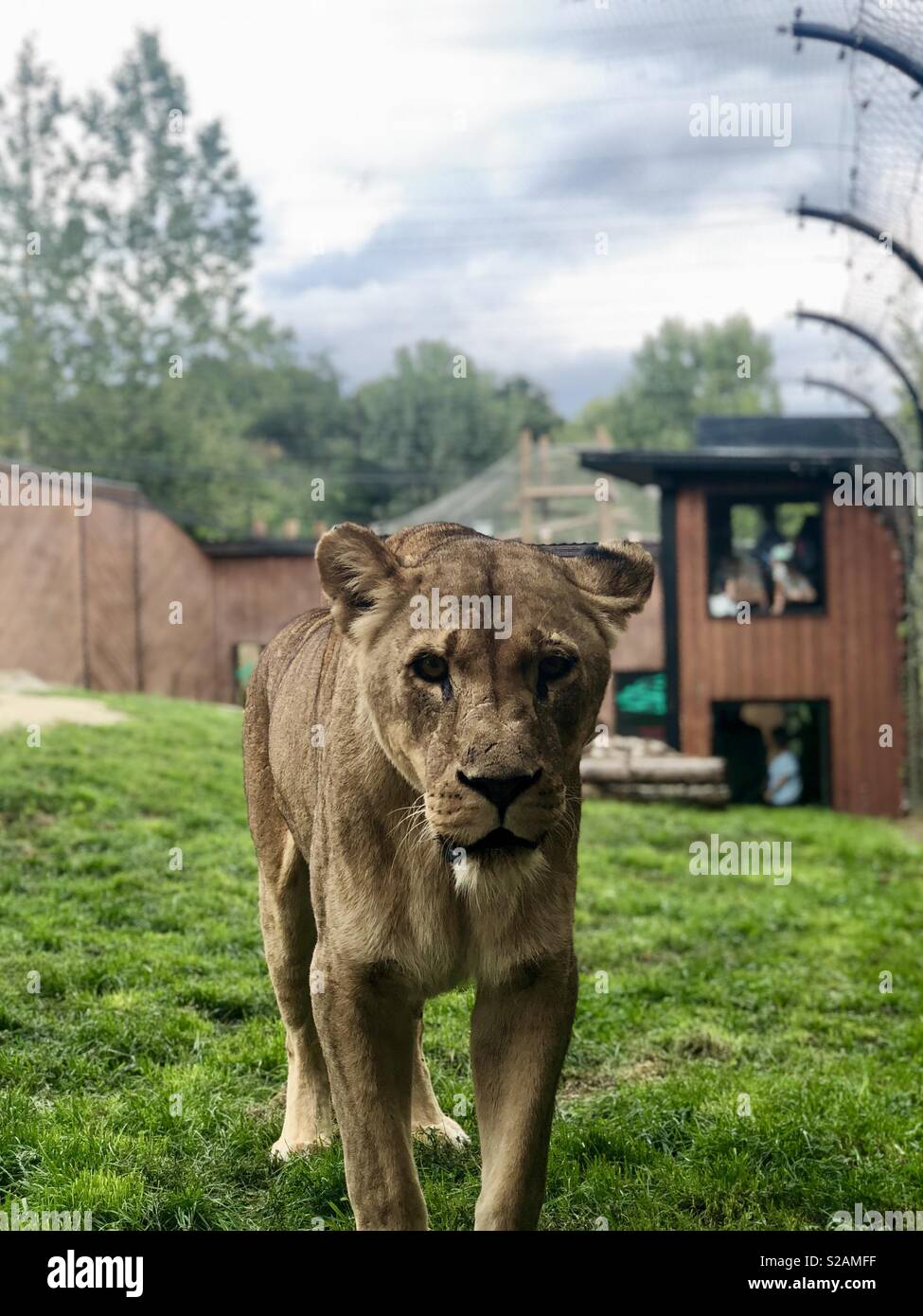 Colchester zoo hi-res stock photography and images - Alamy