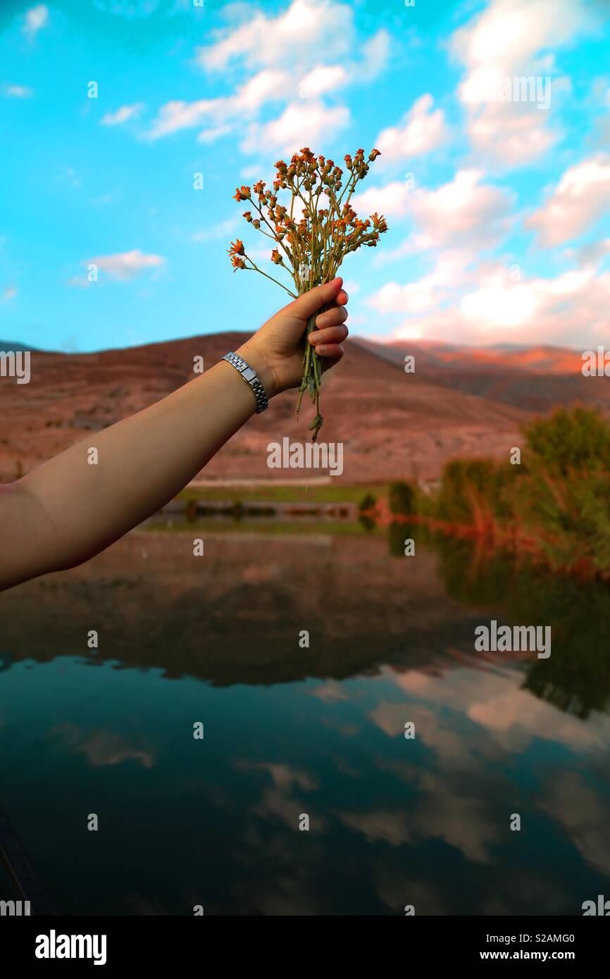 Sky with flower hi-res stock photography and images - Alamy