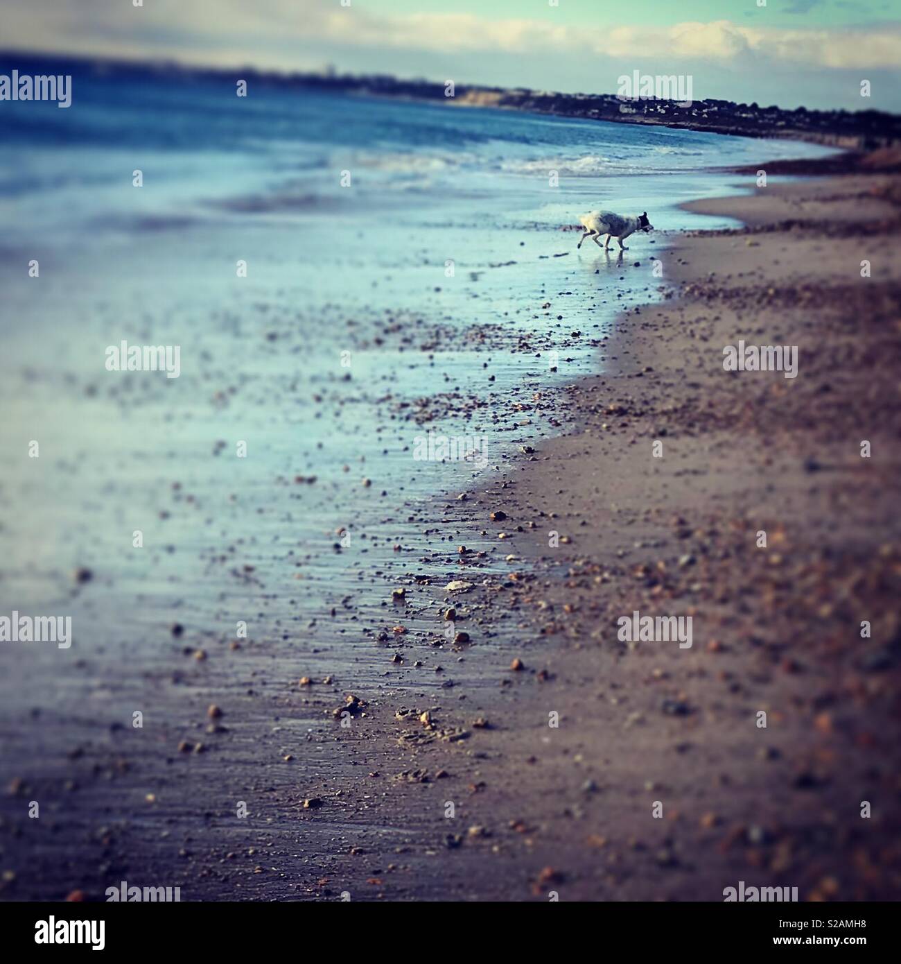 Shingles beach hi-res stock photography and images - Alamy