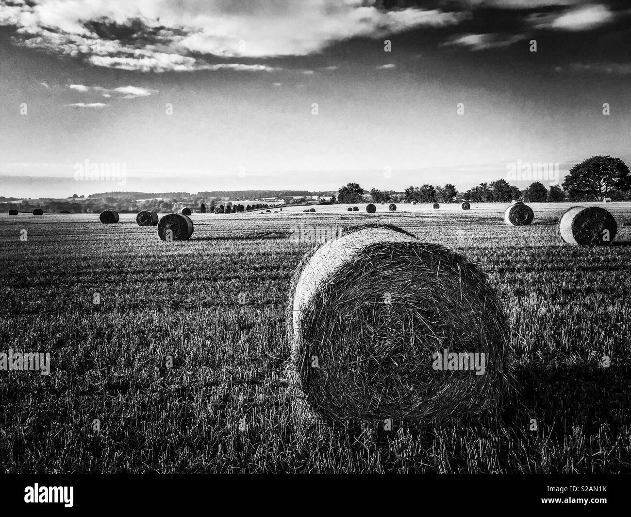 Scenic B&W harvest hay bales field Stock Photo - Alamy