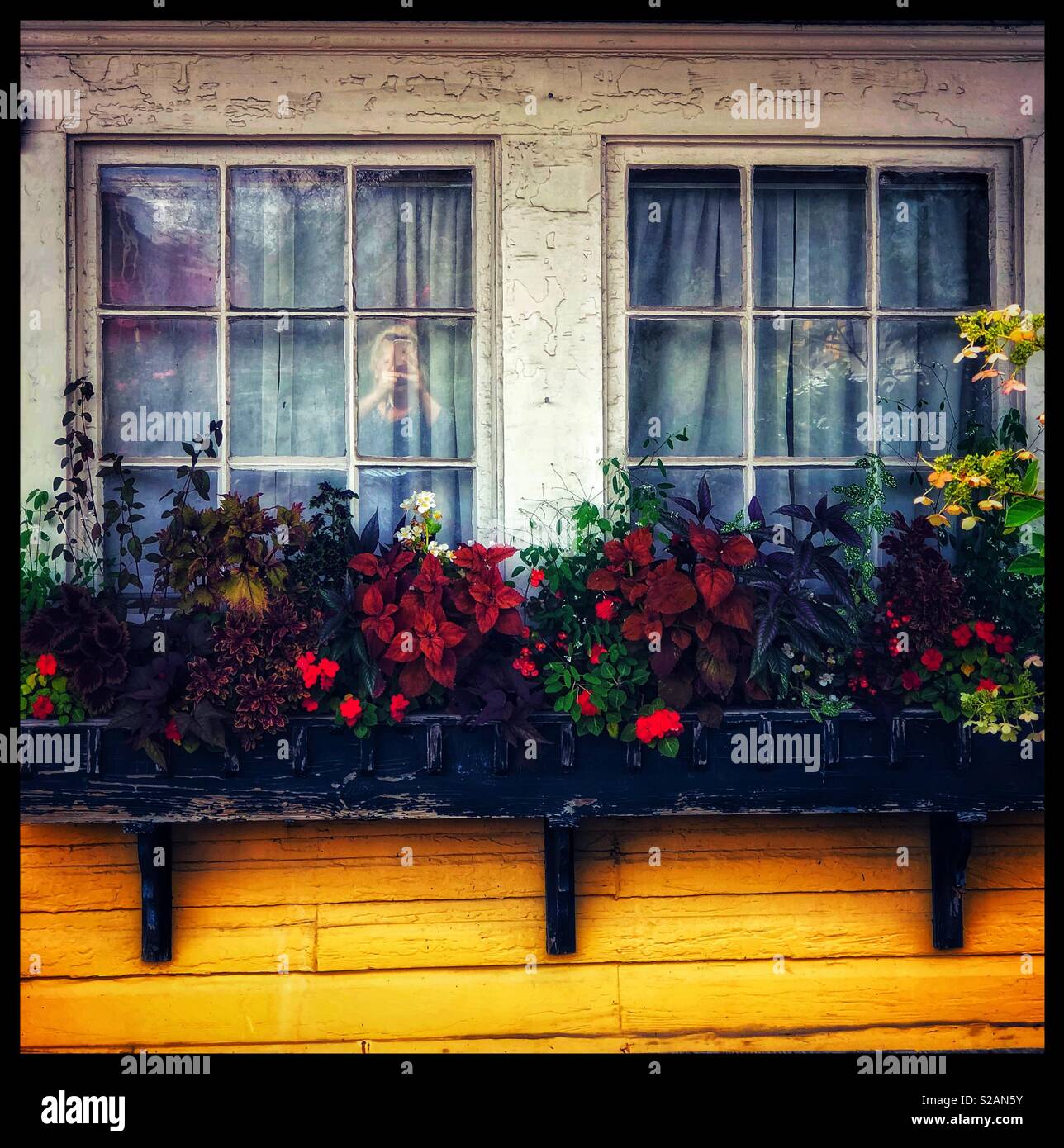 Window flower boxes Stock Photo - Alamy