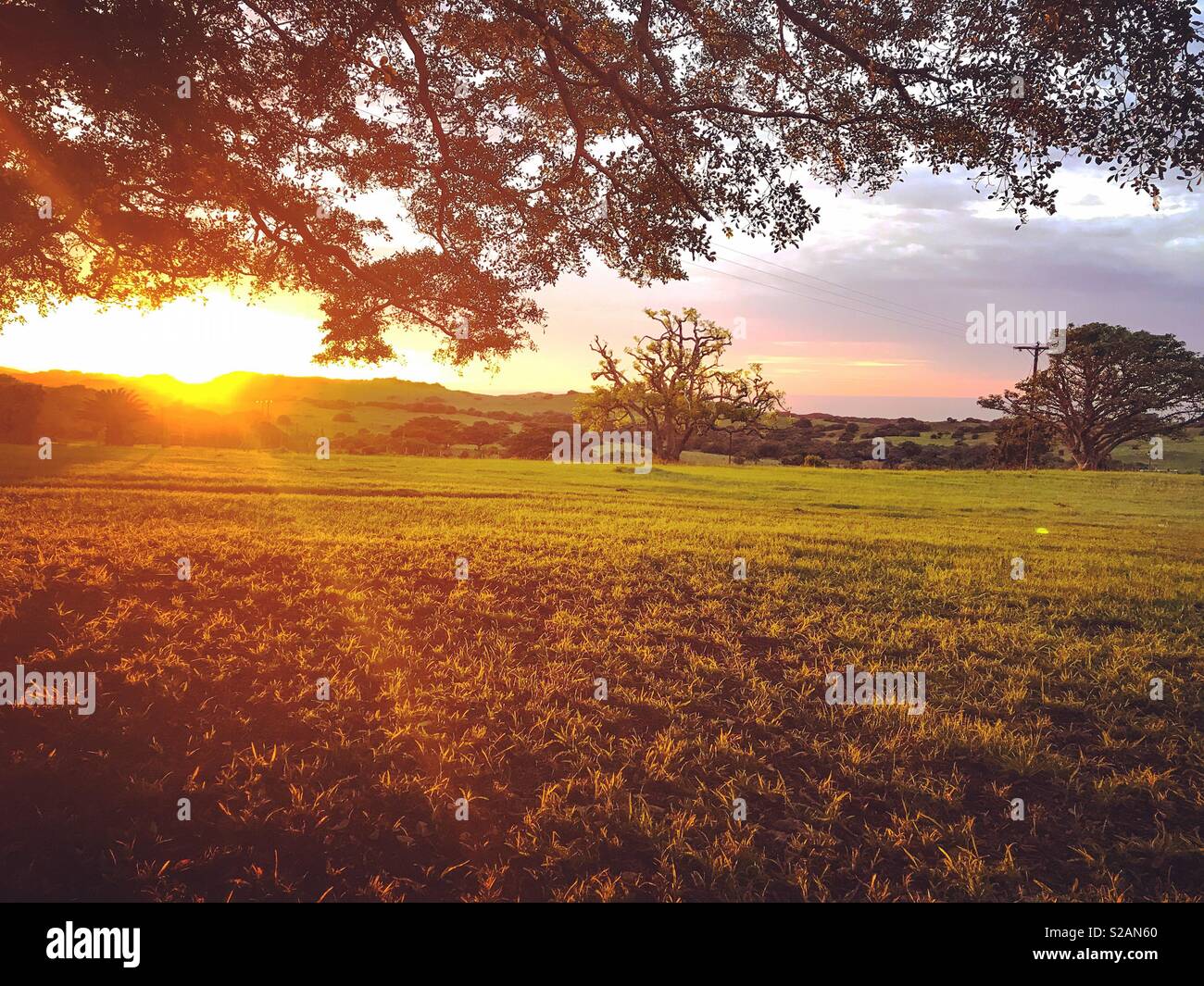 Soaking up the sun hi-res stock photography and images - Alamy