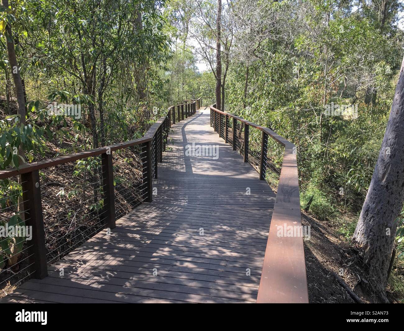 Wooden board walk through trees Stock Photo - Alamy
