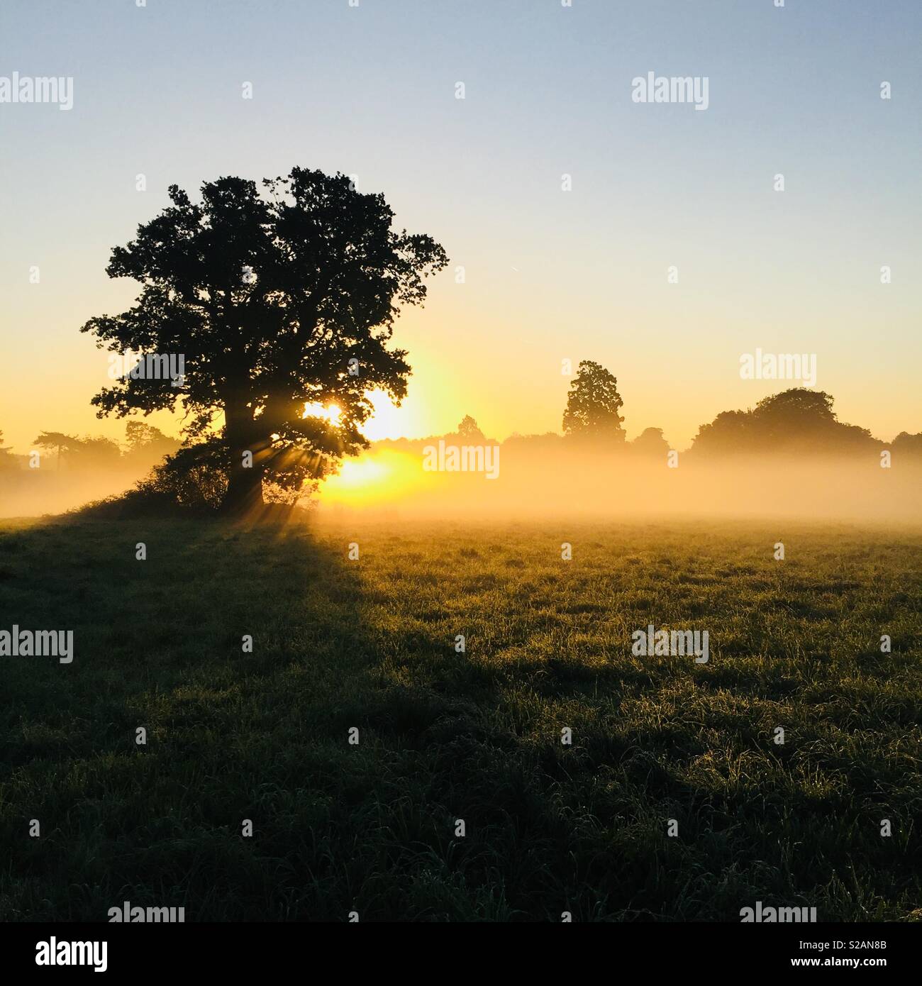 Catton Park High Resolution Stock Photography and Images - Alamy