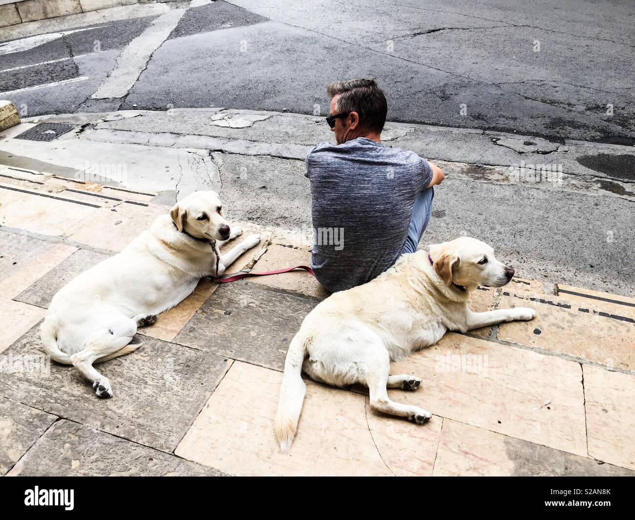A man sitting with two dogs Stock Photo - Alamy