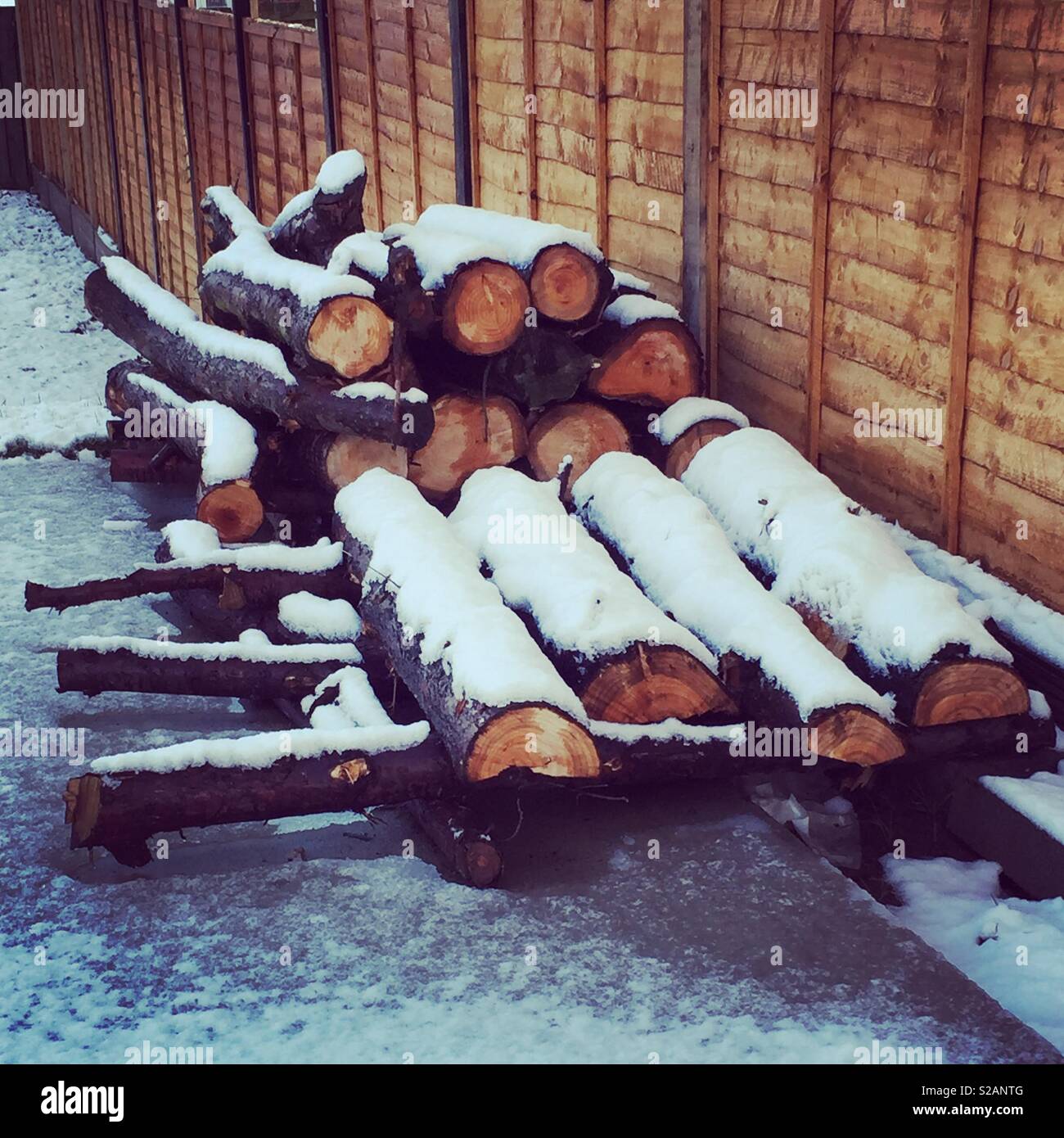Log pile in the snow Stock Photo - Alamy