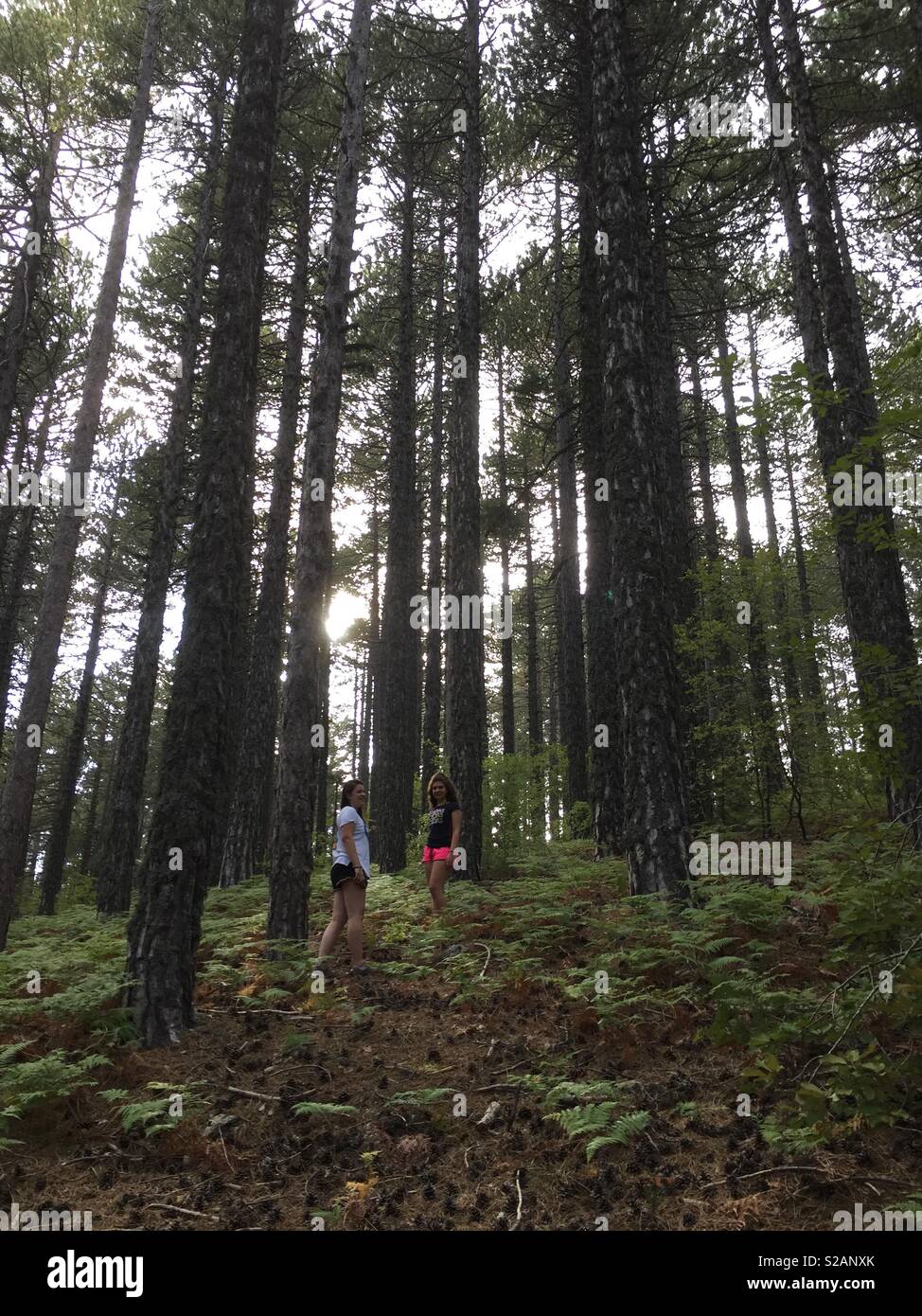 Two girls in forest hi-res stock photography and images - Alamy