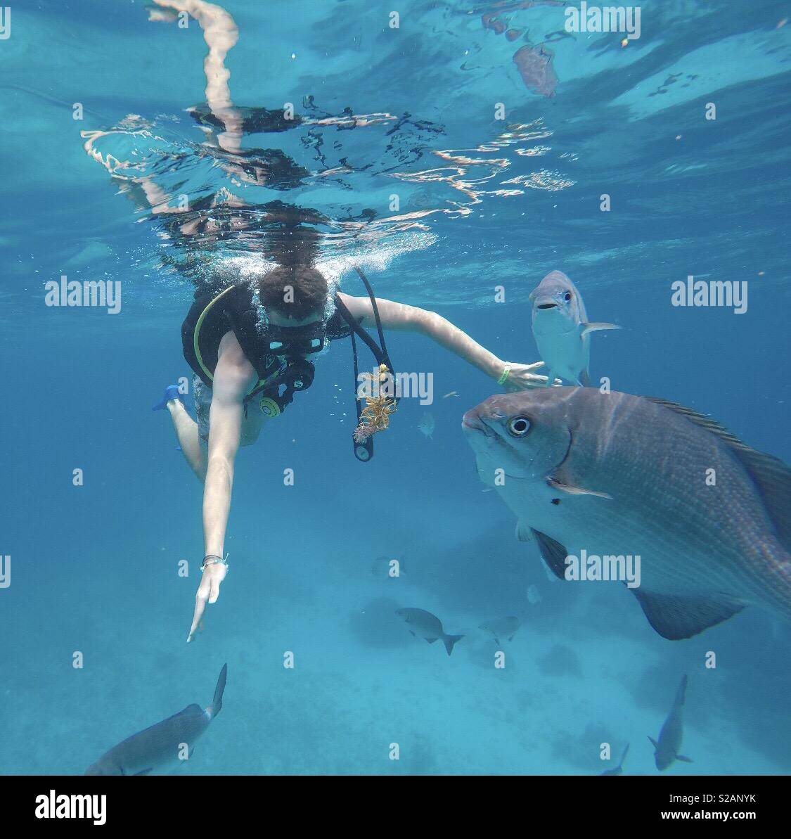 Deep ocean gulf hi-res stock photography and images - Alamy