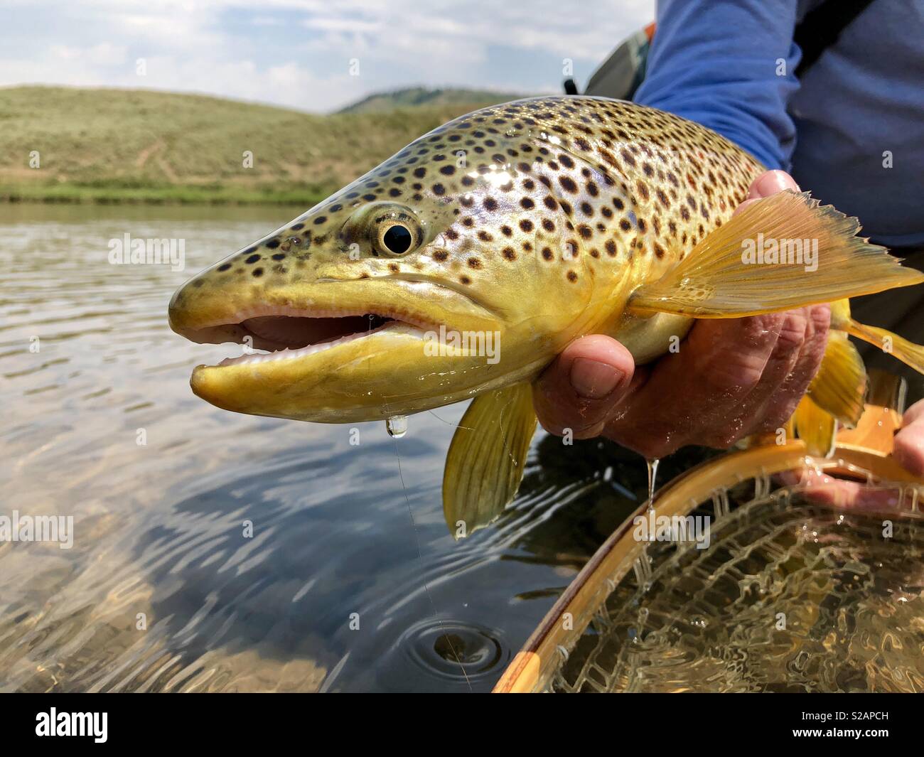 Water Dripping Hand Stock Photos & Water Dripping Hand Stock Images - Alamy