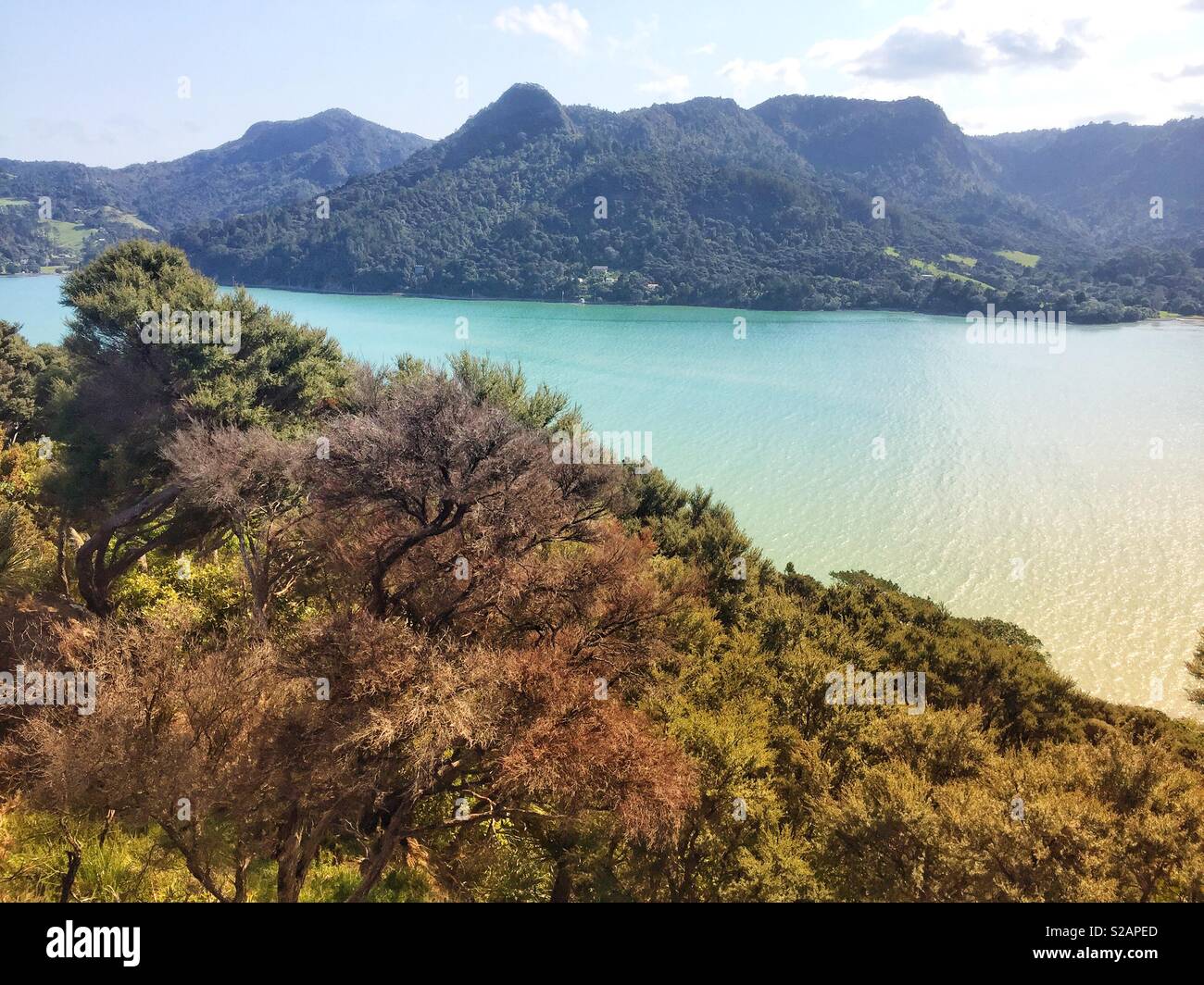 Huia Bay Stock Photos & Huia Bay Stock Images - Alamy