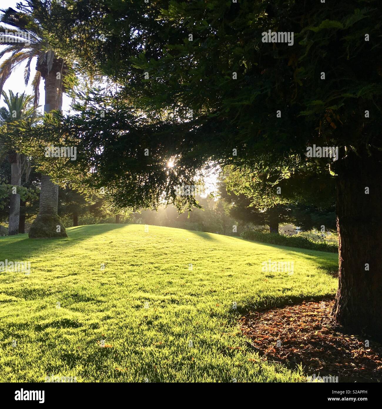 Sunny park and hi-res stock photography and images - Alamy