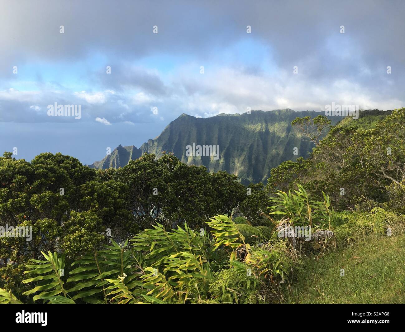 Koke'e state park hi-res stock photography and images - Alamy