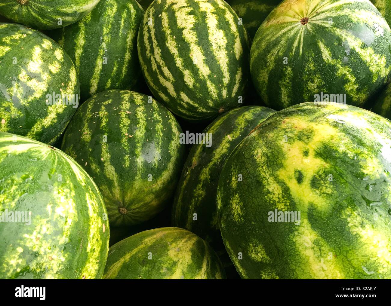 Watermelon Patch by Nathan Little Stock Photo - Alamy