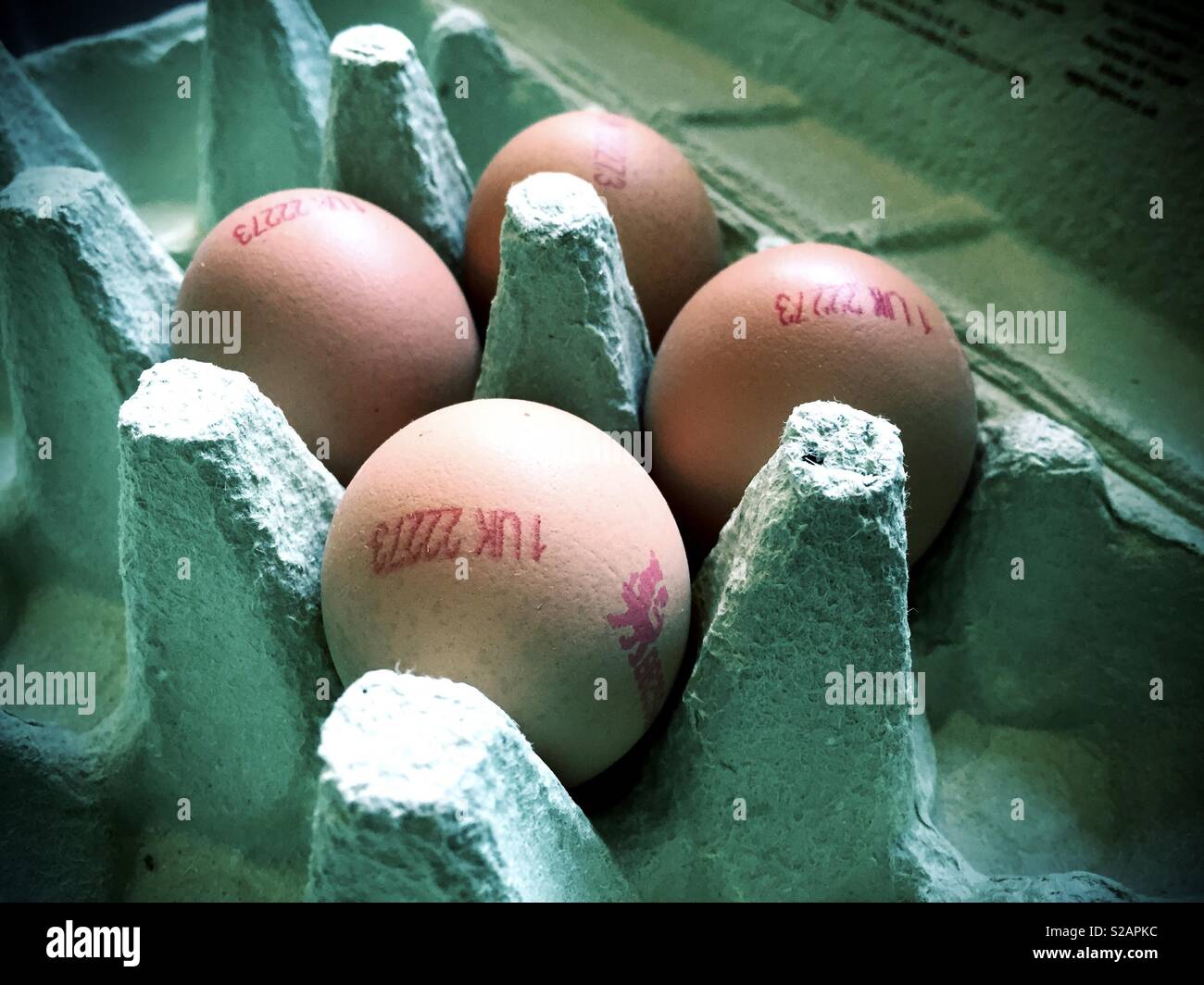 Fresh Eggs in a green egg box Stock Photo - Alamy