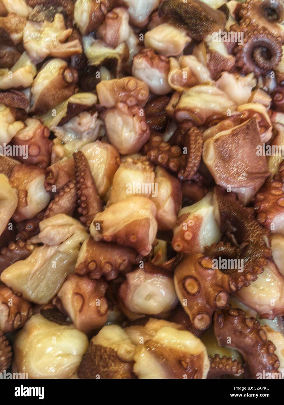 Chopped octopus arms for takoyaki Stock Photo - Alamy