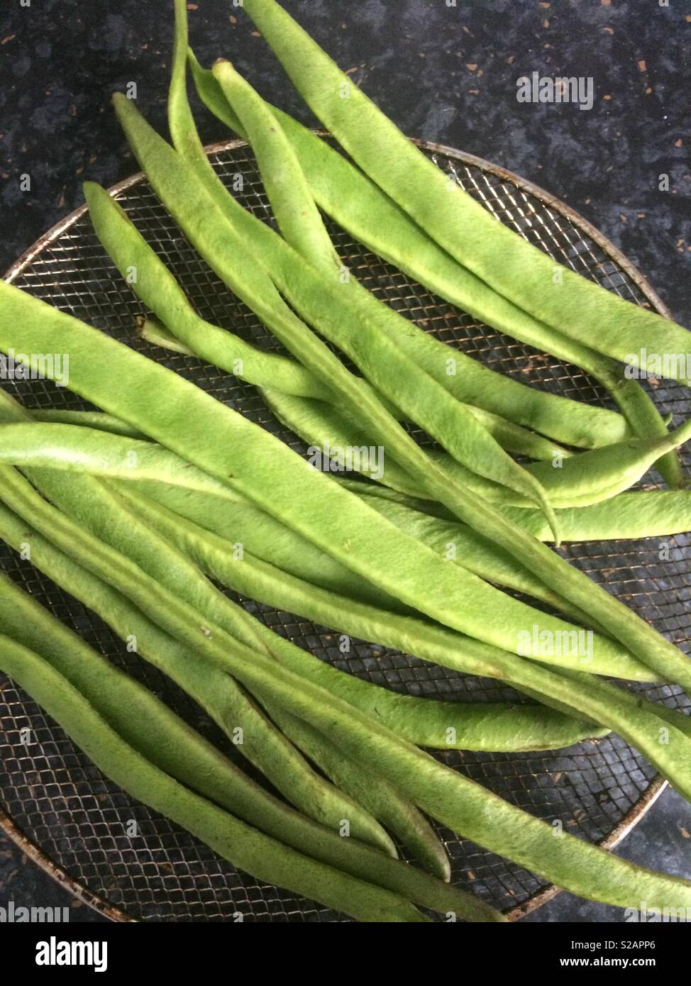 Runner bean collection Stock Photo - Alamy