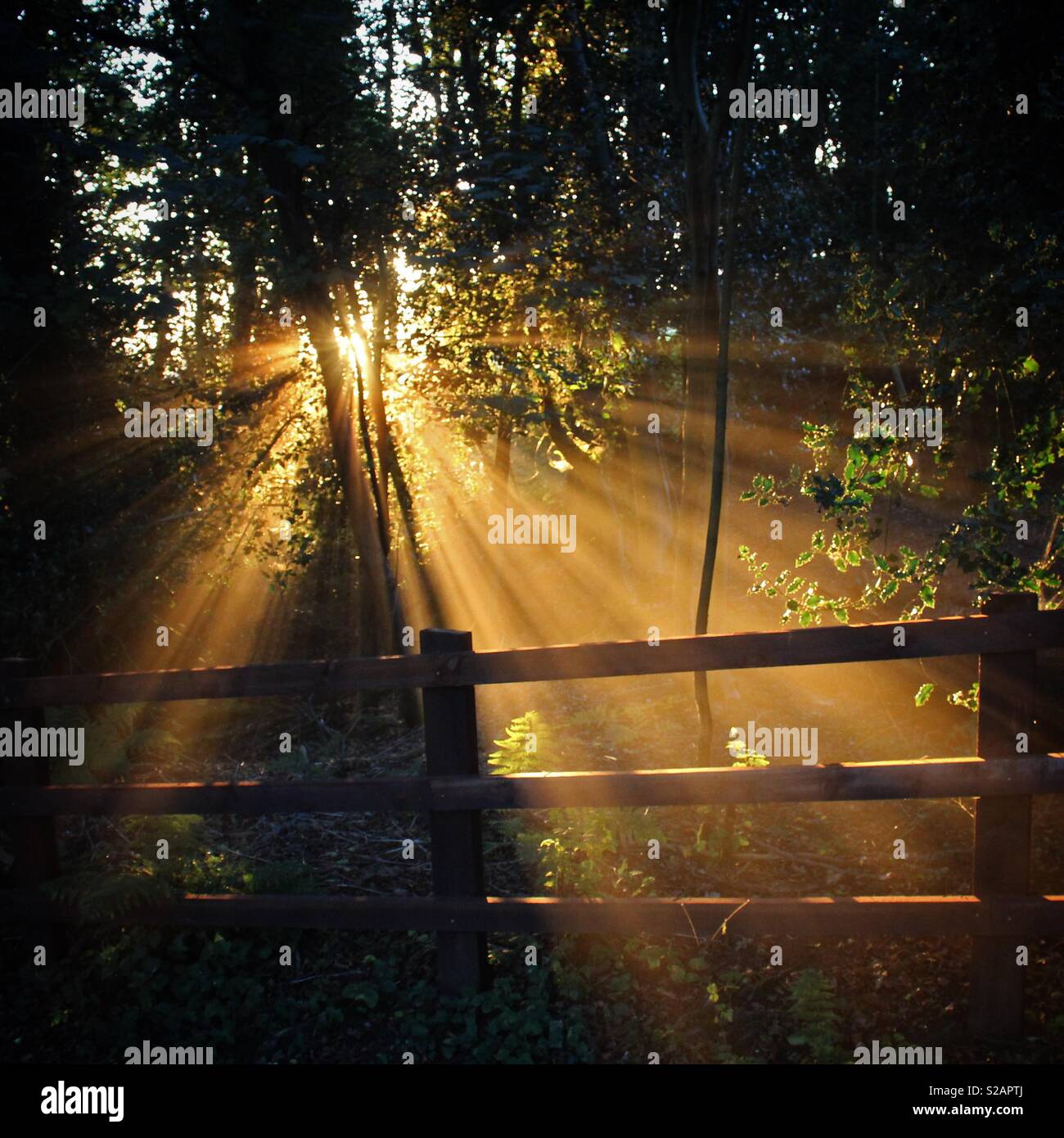 Sunrays with sunrise hi-res stock photography and images - Alamy