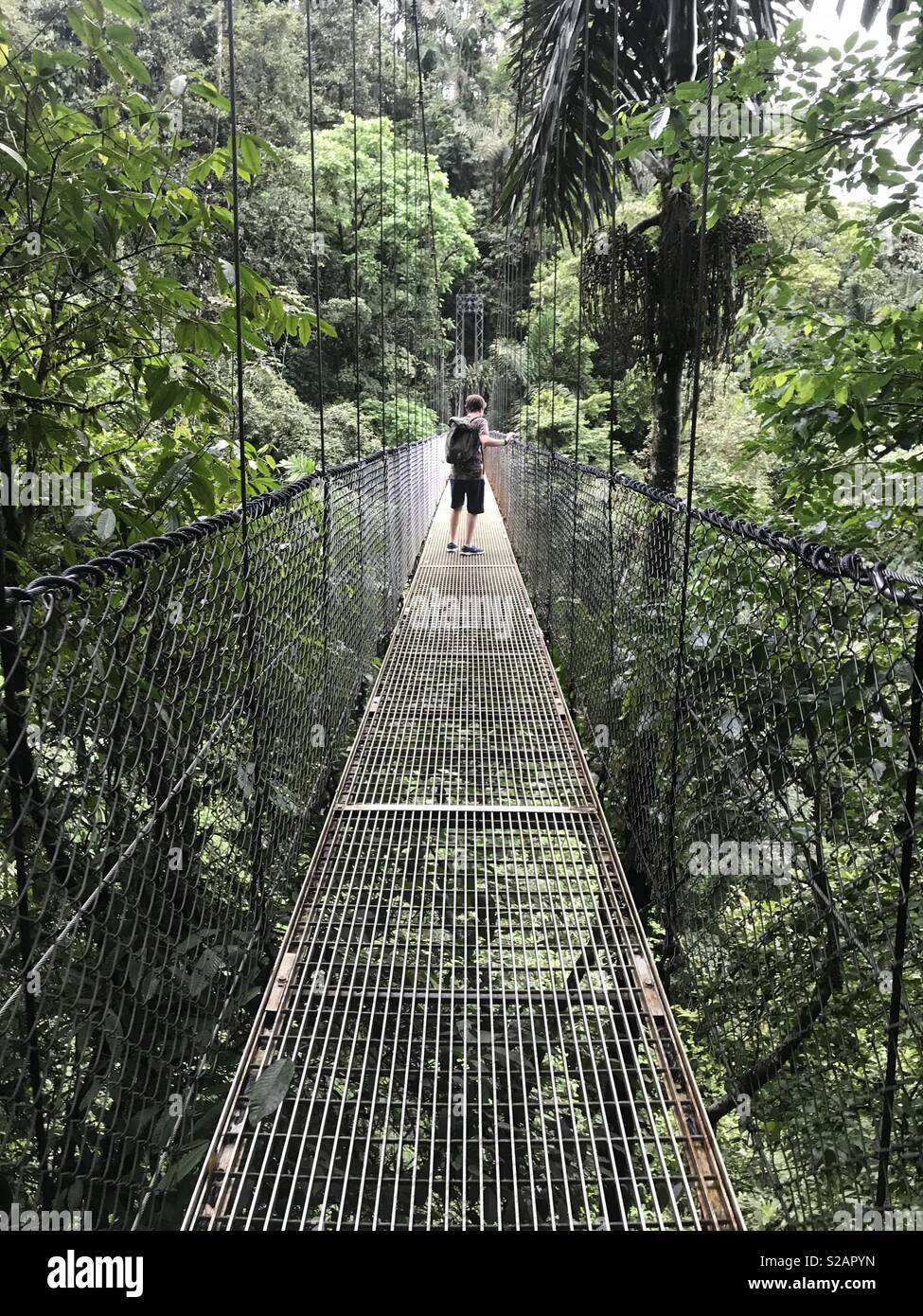 Hanging Bridges Costa Rica Stock Photo - Alamy