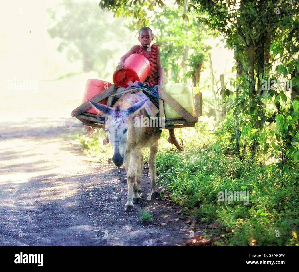 Child on donkey caribbean hi-res stock photography and images - Alamy