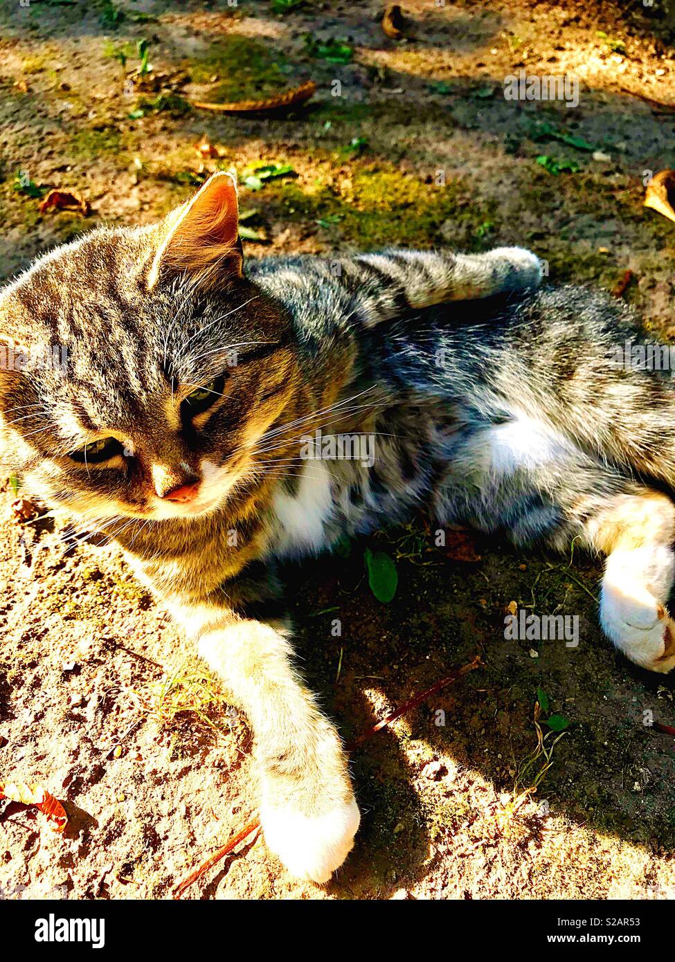 Sunny rest hi-res stock photography and images - Alamy
