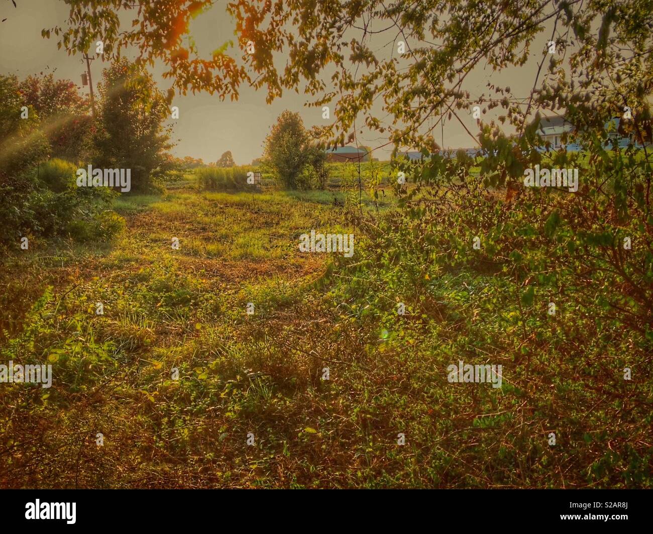 Unkempt hi-res stock photography and images - Alamy