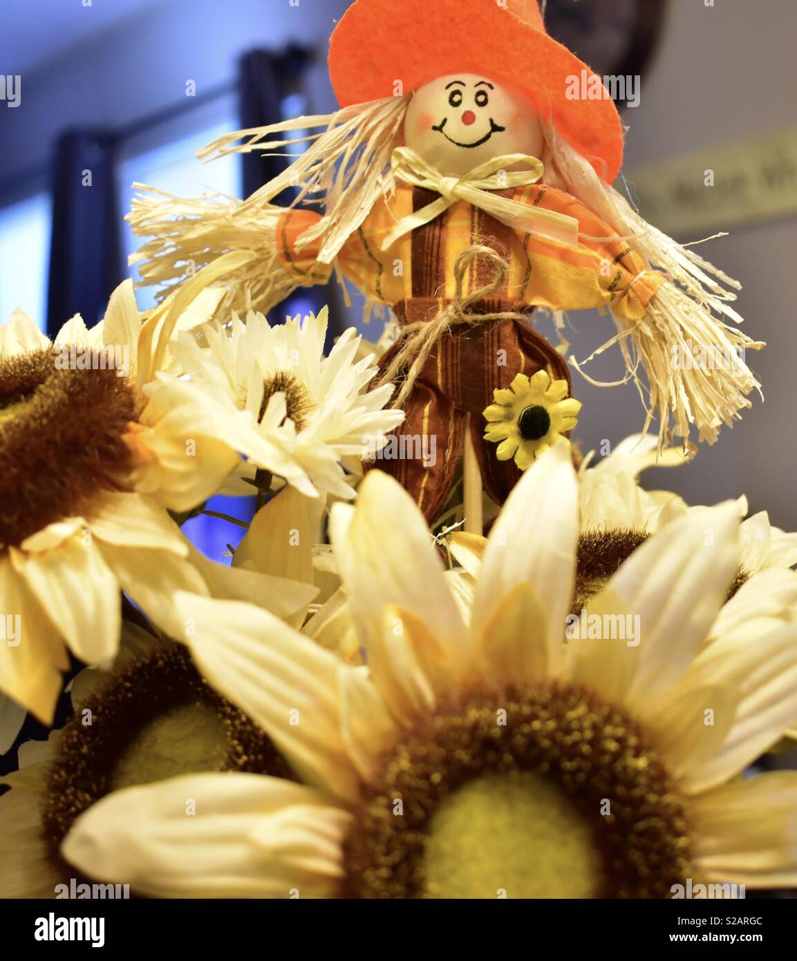 Sunflower scarecrow hi-res stock photography and images - Alamy