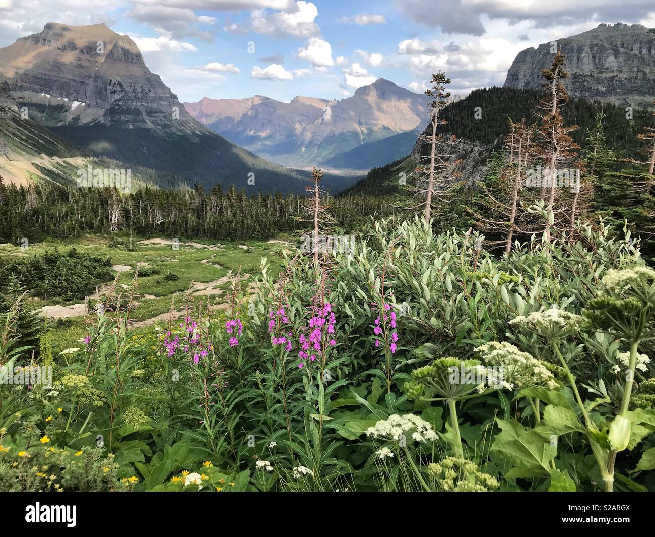 Scenery by Logan Pass Visitor Center, Going-to-the-Sun Road, Glacier ...