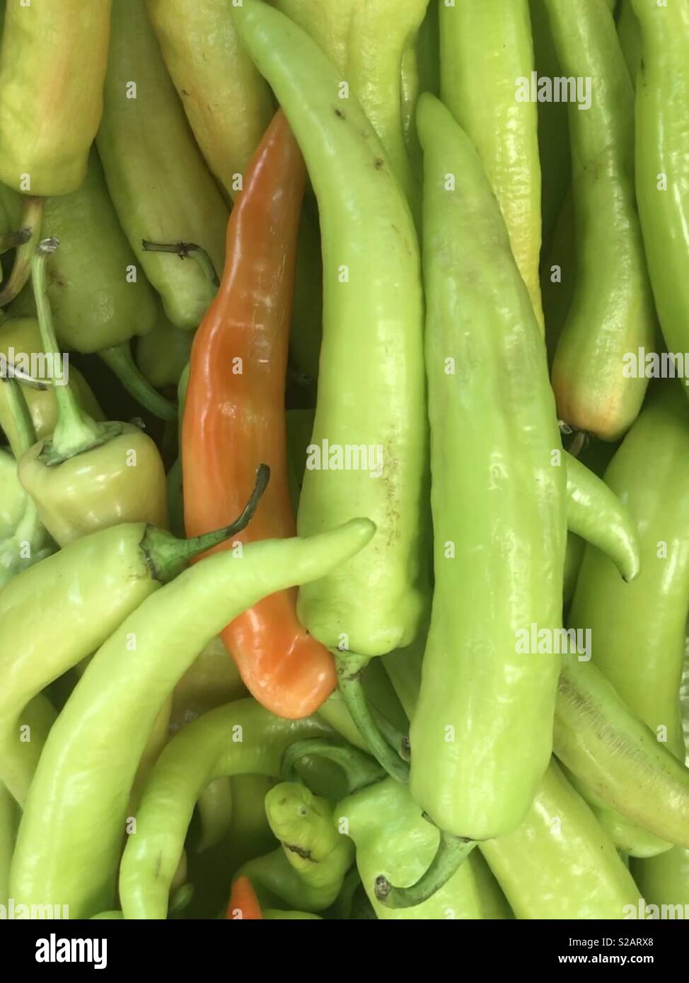 Chillis hi-res stock photography and images - Alamy