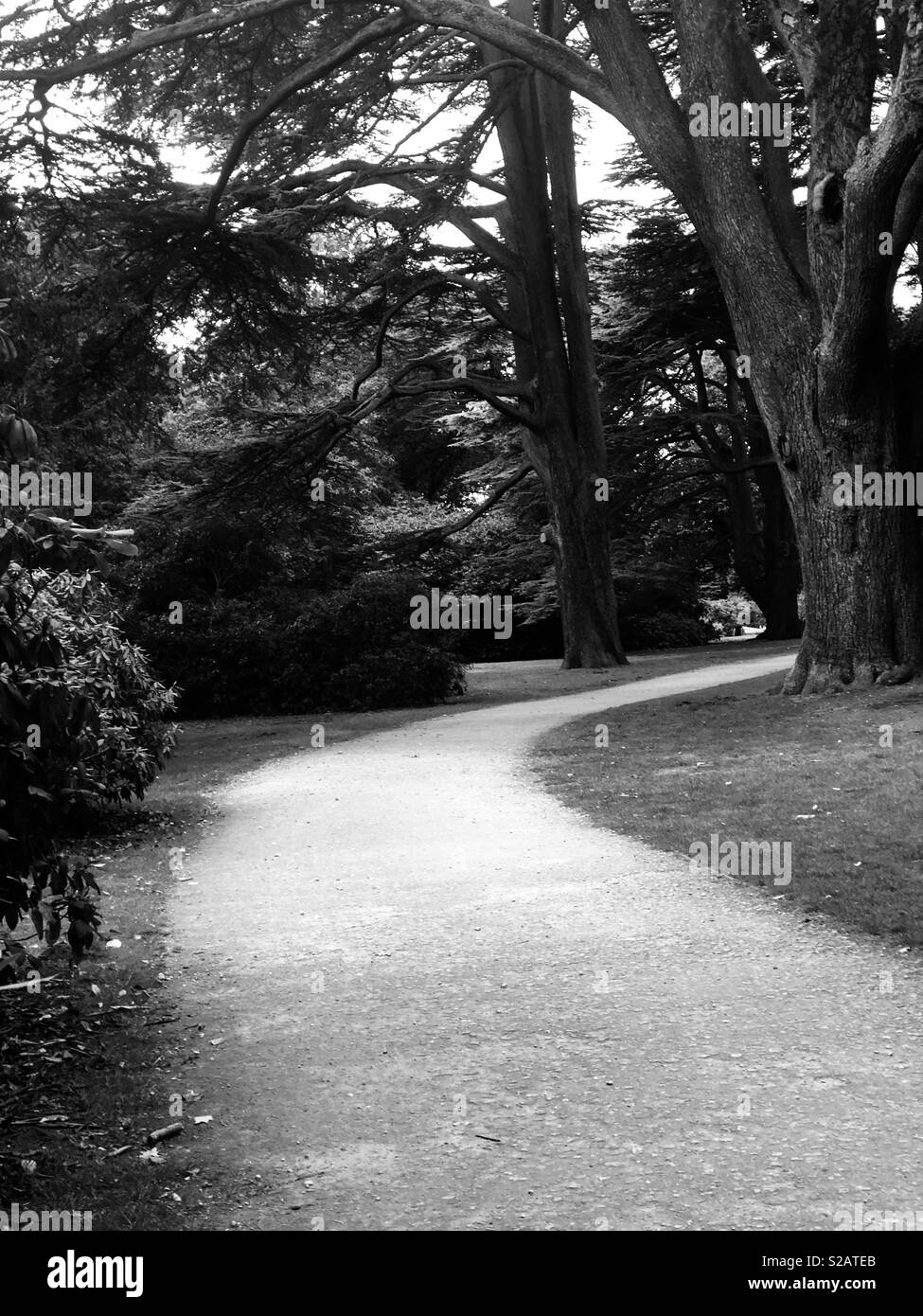 Winding path through park Stock Photo - Alamy