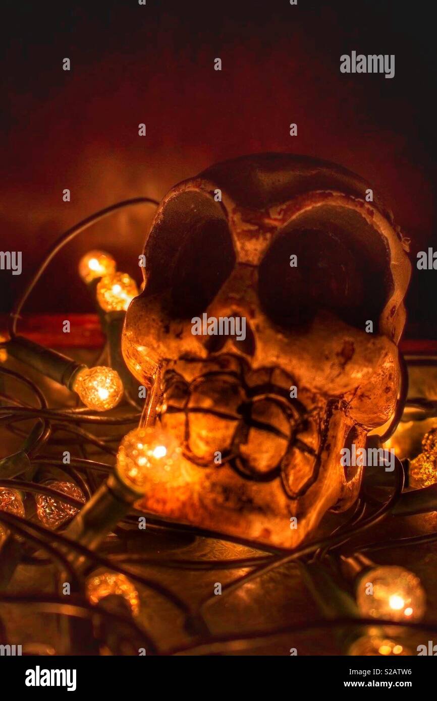 Haunted skull hi-res stock photography and images - Alamy