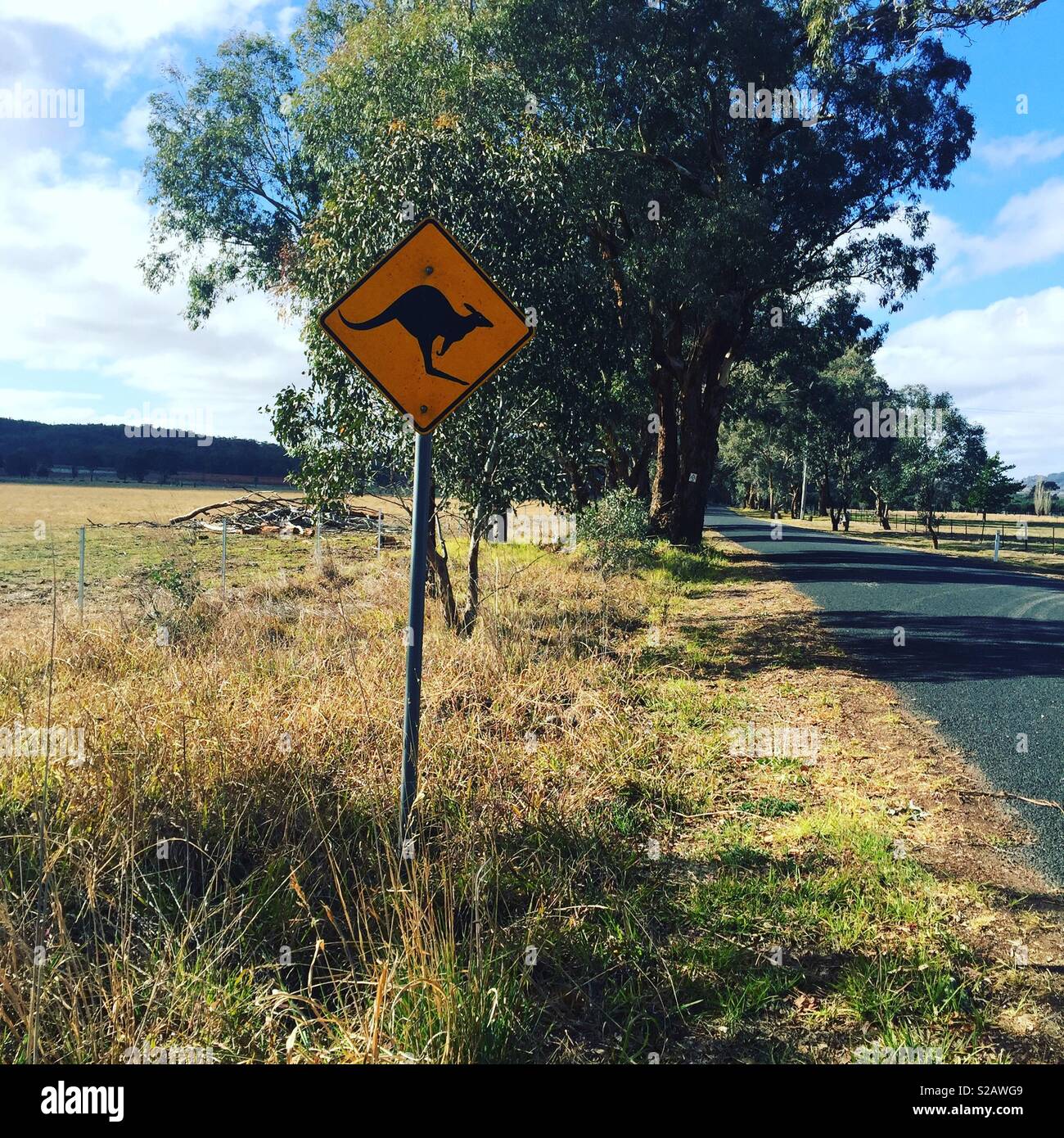 Australian outback road kangaroo sign hi-res stock photography and ...