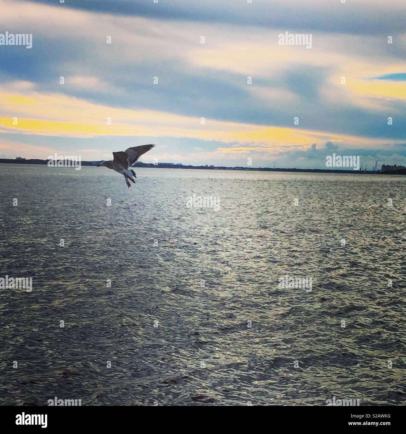 Flying waters hi-res stock photography and images - Alamy