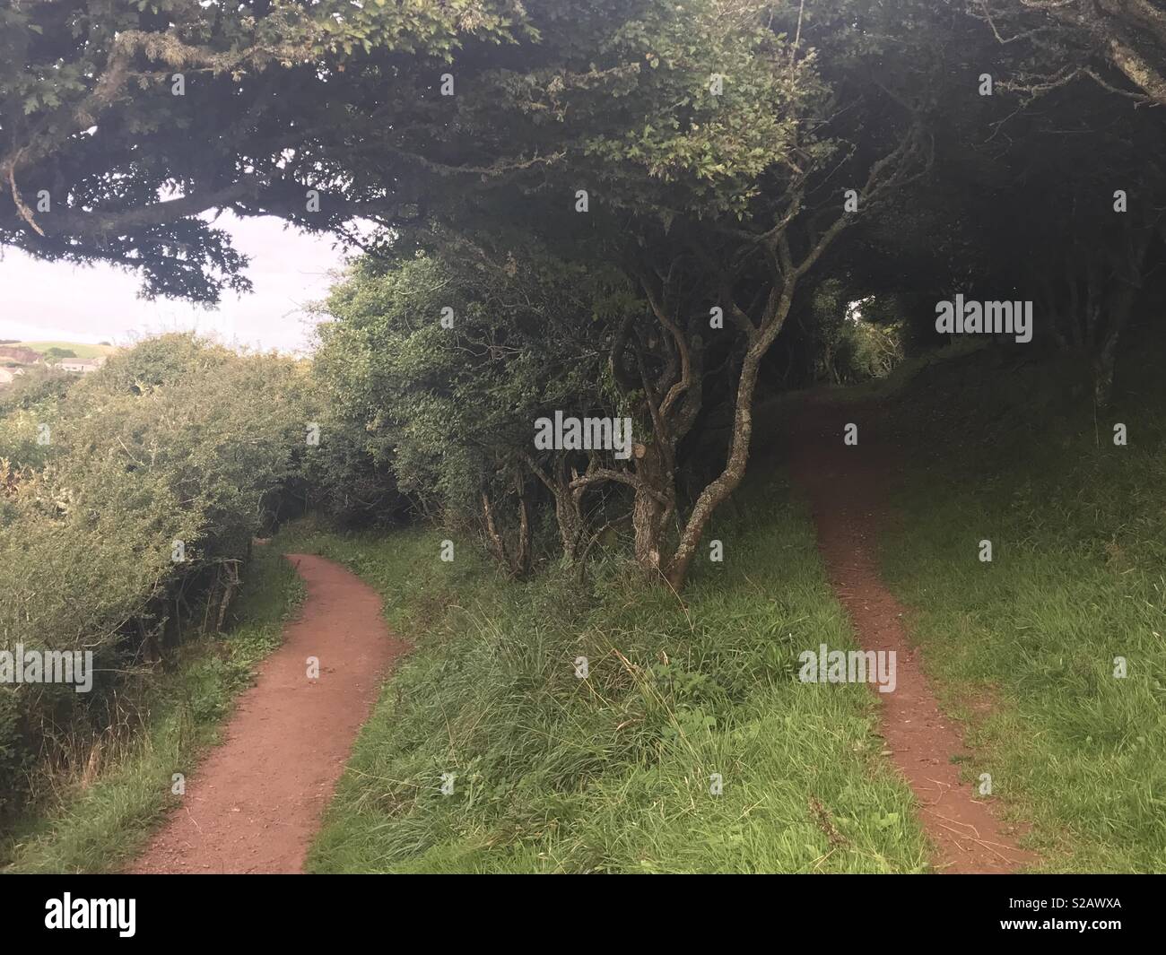 Wood paths hi-res stock photography and images - Alamy