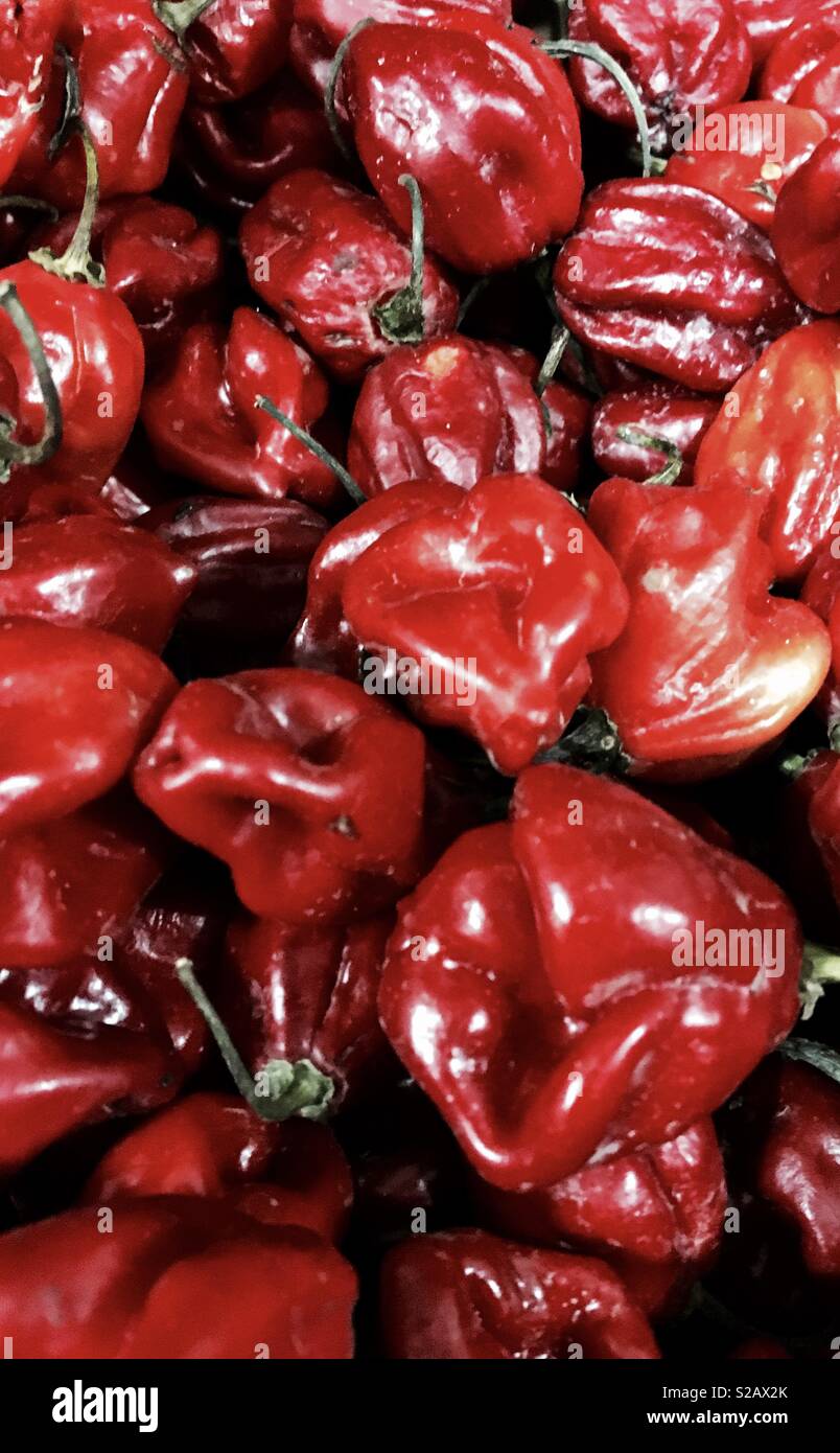 Red scotch bonnet chilli peppers sold in a London market Stock Photo ...