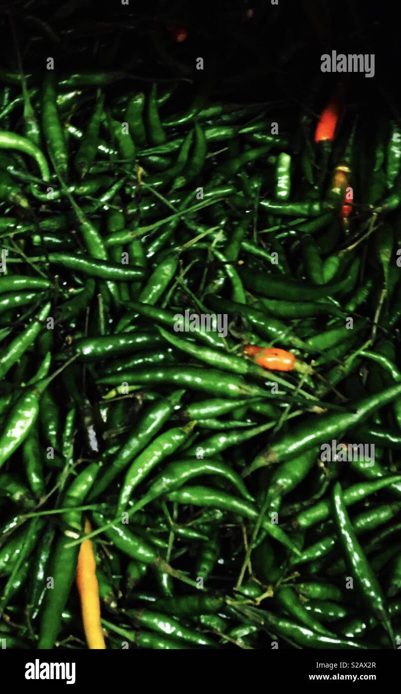 Green finger chilli hi-res stock photography and images - Alamy