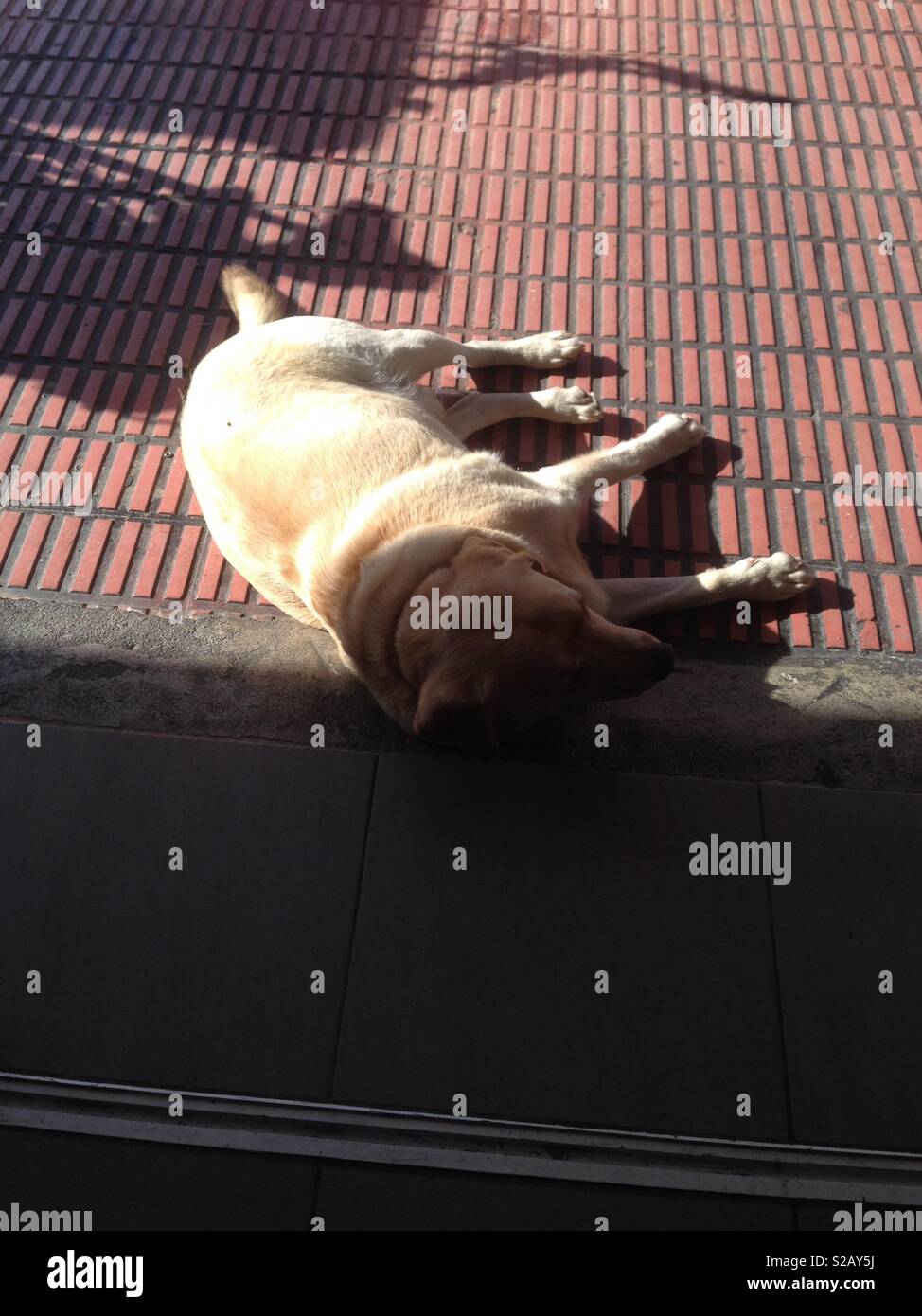 Shade bathing hi-res stock photography and images - Alamy